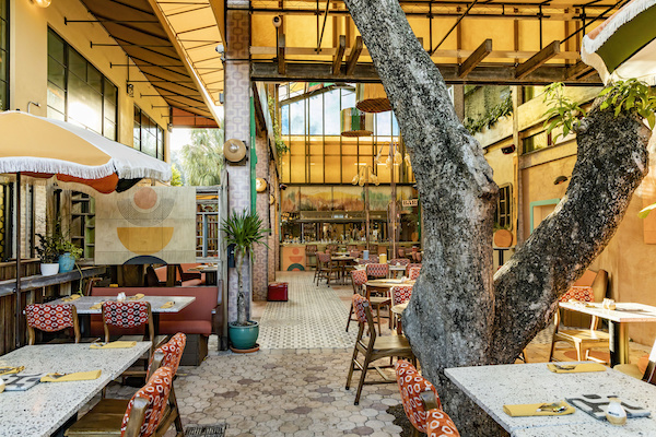 El ganador de Masterchef Israel Tom Aviv abre su primer restaurante en ...